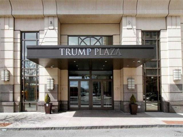 2 bedroom, NY NY 102245369