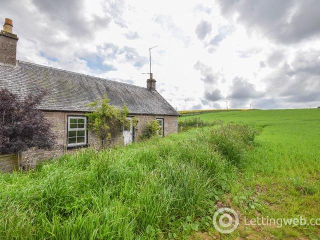 2 Bedroom Semi Detached to Rent at Angus, Arbroath West and Letham