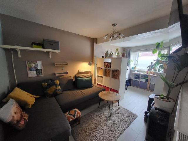 2 bedroom semi detached house to rent