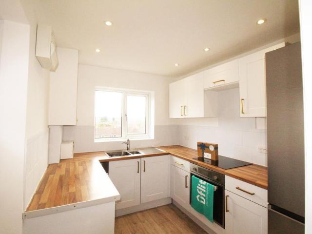 2 bedroom semi detached house to rent