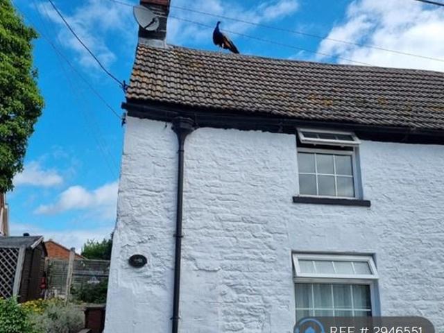 2 bedroom semi detached house to rent