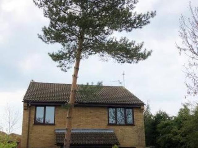 2 bedroom semidetached house for rent in 47 Appian Way Alvaston Derby DE24 0TG DE24