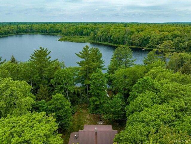 2 bedroom, Seney MI 49883 LS93099444