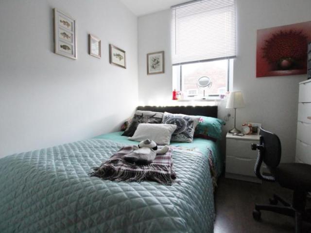 2 Bedroom Shared Living/roommate Manchester Manchester 90562007