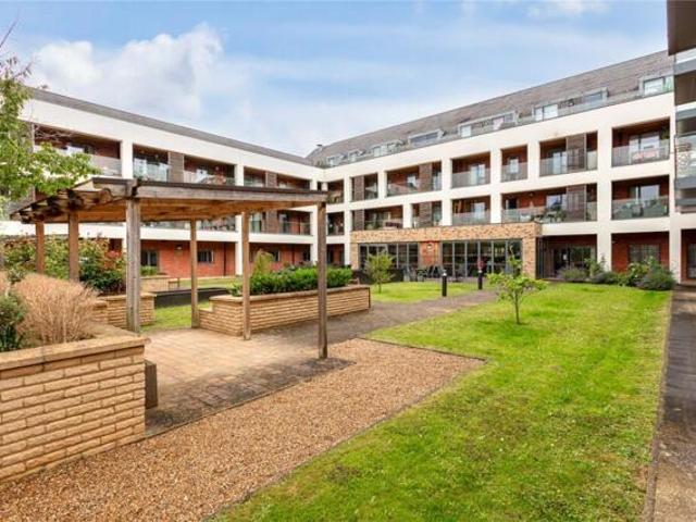 2 Bedroom Shared Living/roommate Bedford Bedford Borough 100398339