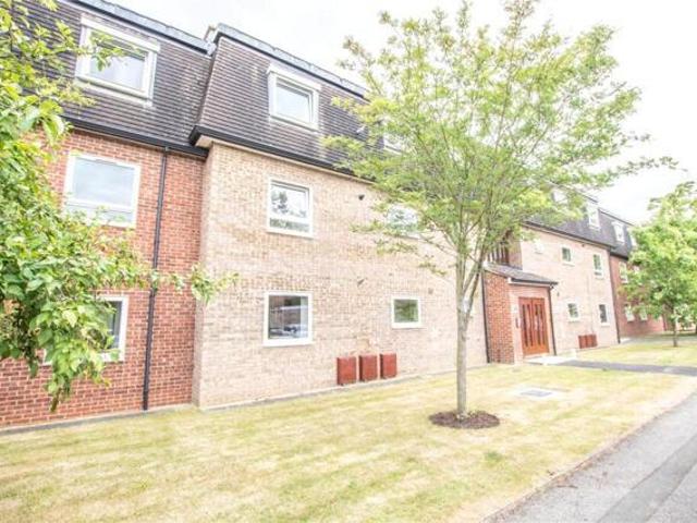2 Bedroom Shared Living/roommate Cambridge Cambridgeshire 98766046