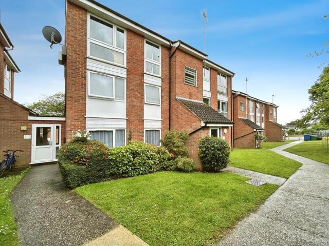 2 Bedroom Shared Living/roommate Chelmsford Essex 99290492