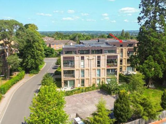 2 Bedroom Shared Living/roommate East Sussex West Sussex 99808605