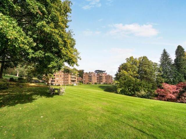 2 Bedroom Shared Living/roommate Haslemere Surrey 101316522
