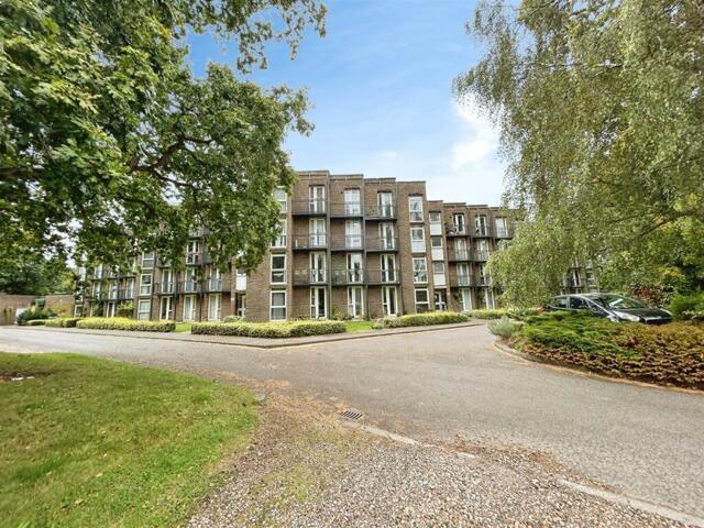 2 Bedroom Shared Living/roommate Kent Kent 101675570