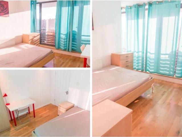 2 Bedroom Shared Living/roommate London London 90559890