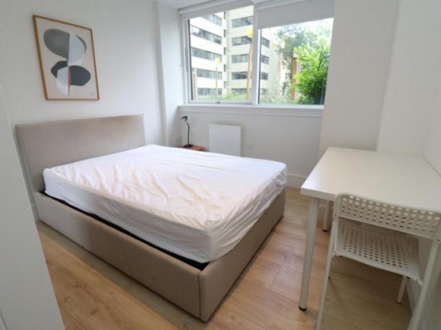 2 Bedroom Shared Living/roommate London London 90560814