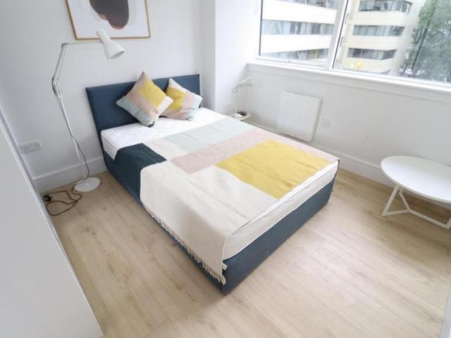 2 Bedroom Shared Living/roommate London London 90560925