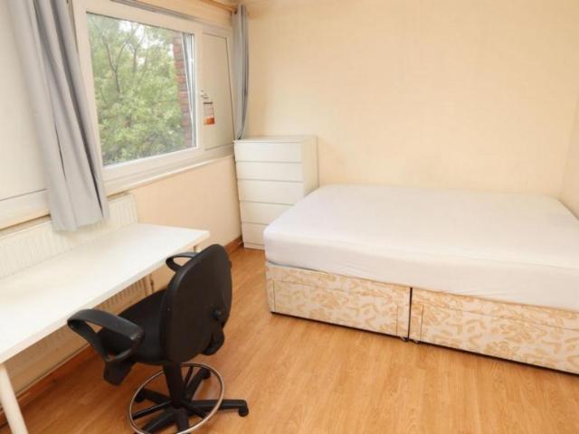 2 Bedroom Shared Living/roommate London London 90560200
