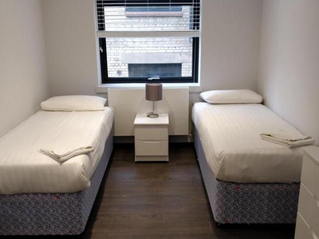 2 Bedroom Shared Living/roommate London London 90560397