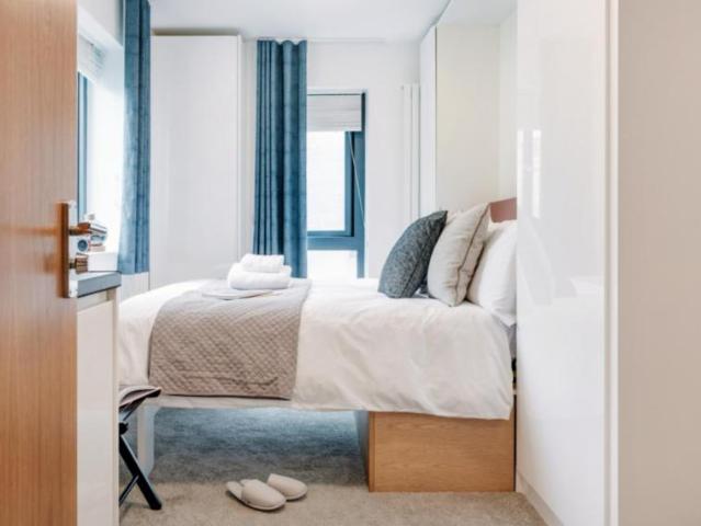 2 Bedroom Shared Living/roommate London London 90563761