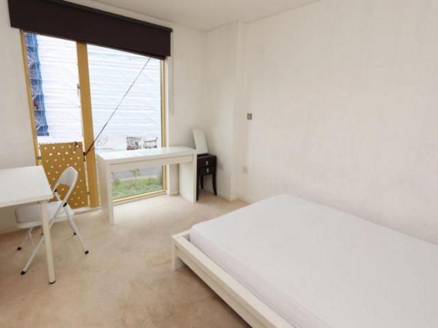 2 Bedroom Shared Living/roommate London London LS90560216