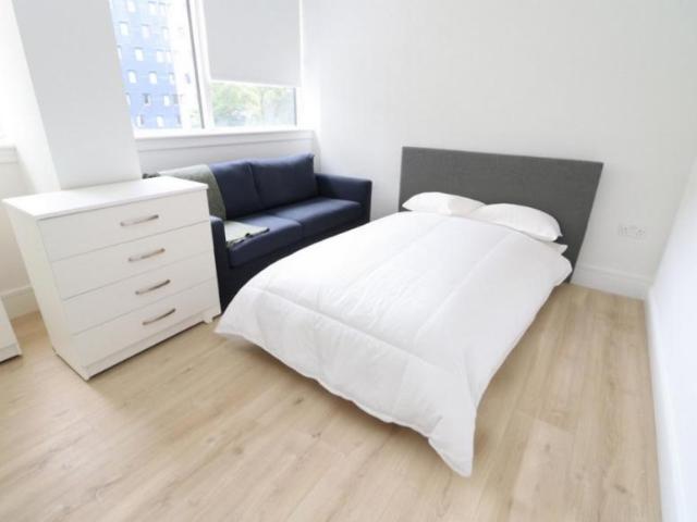 2 Bedroom Shared Living/roommate London London LS90560926
