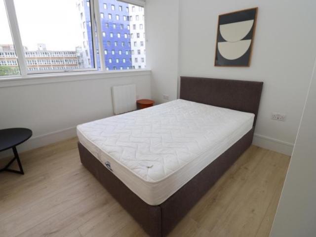 2 Bedroom Shared Living/roommate London London LS90561277
