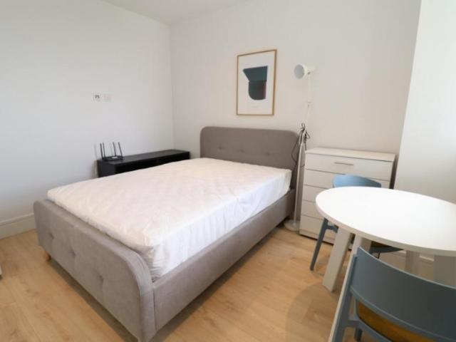 2 Bedroom Shared Living/roommate London London LS90561274