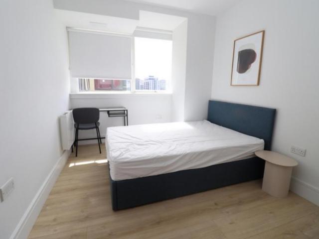 2 Bedroom Shared Living/roommate London London LS90561276
