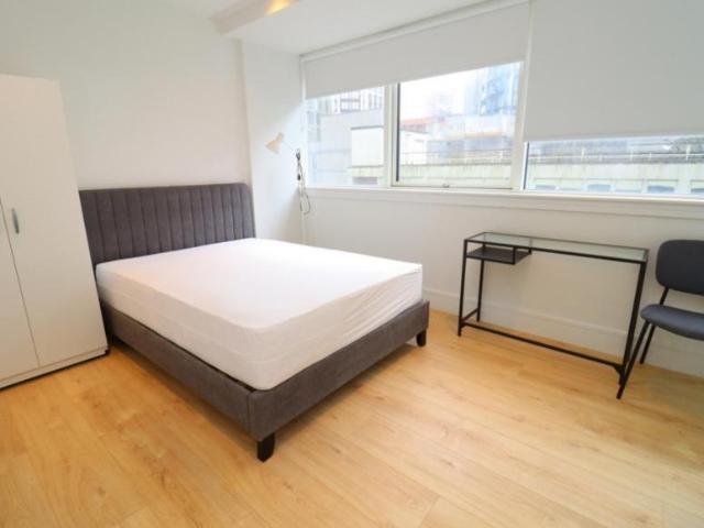2 Bedroom Shared Living/roommate London London LS90563860