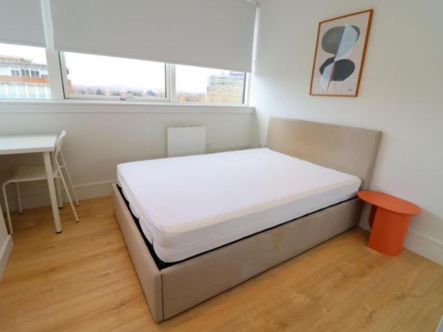 2 Bedroom Shared Living/roommate London London LS90563862