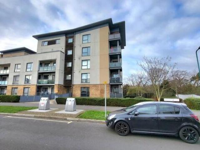 2 Bedroom Shared Living/roommate Peterborough Peterborough 101678667