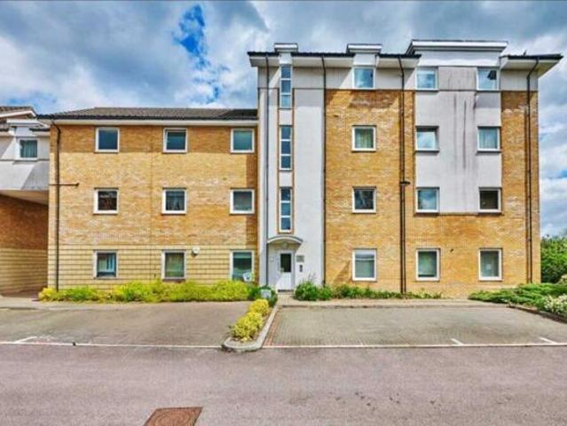 2 Bedroom Shared Living/roommate St. Albans Hertfordshire 98834594