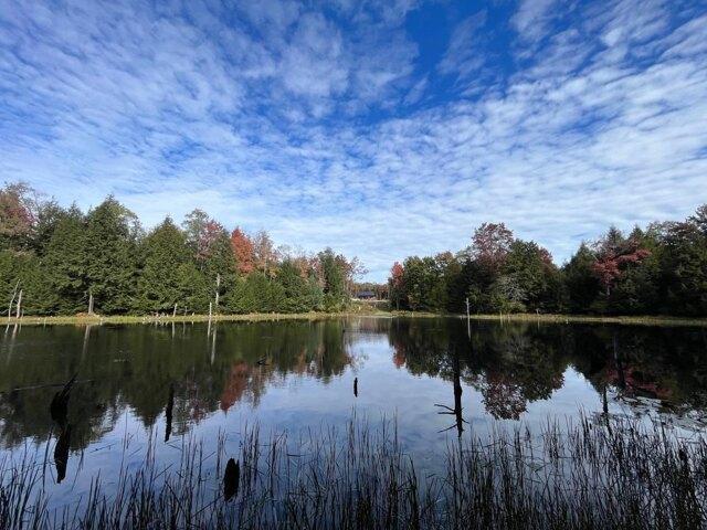 2 bedroom, Stockton NY 14784 92679993