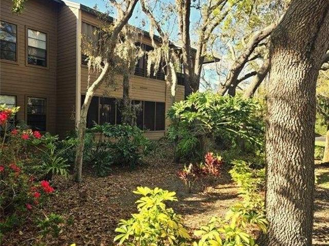 2 bedroom, Palm Harbor FL 34683 88387282