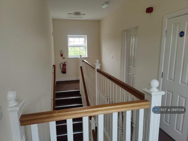 2 bedroom penthouse to rent
