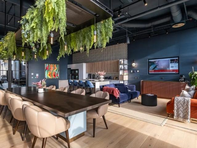 2 bedroom penthouse to rent