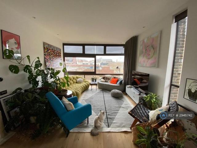 2 bedroom penthouse to rent