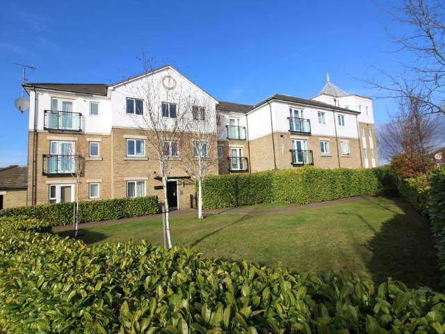 2 bedroom penthouse to rent
