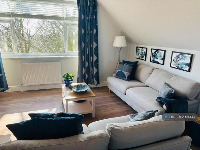 2 bedroom penthouse to rent