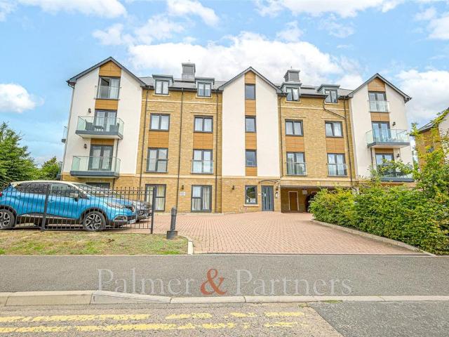 2 bedroom penthouse to rent