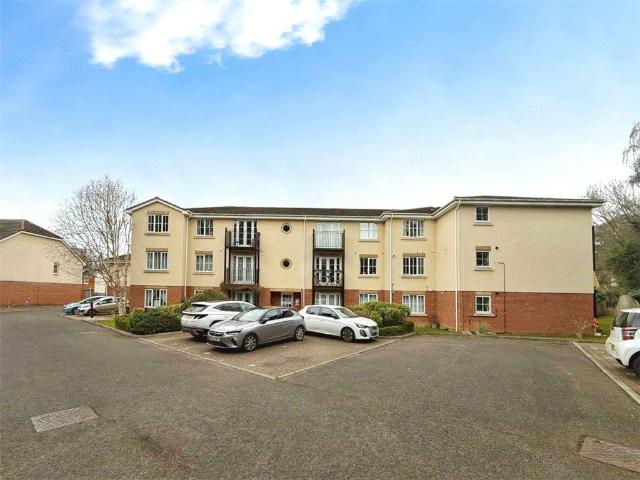 2 bedroom penthouse to rent