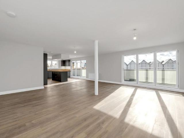2 bedroom penthouse to rent