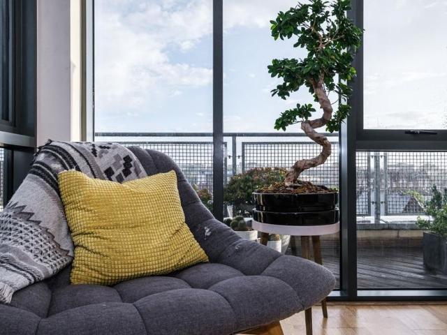 2 bedroom penthouse to rent