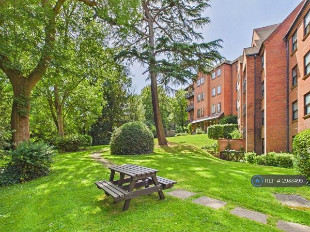 2 bedroom penthouse to rent