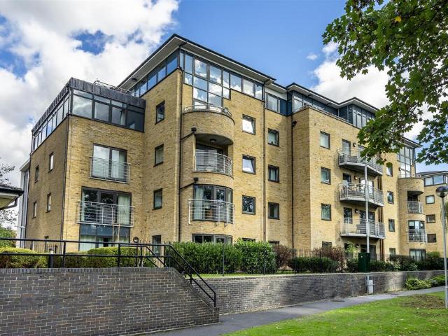 2 bedroom penthouse to rent