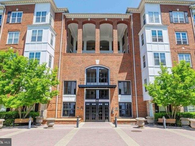 2 bedroom, Rockville MD 20850 104902984