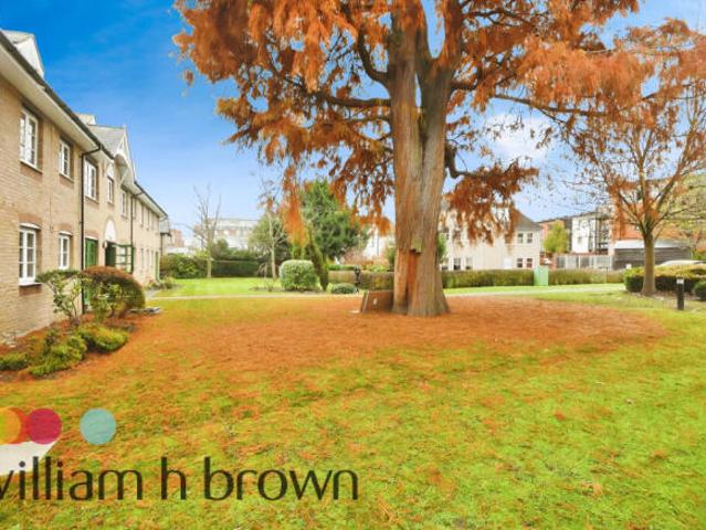 2 bedroom retirement property for rent in Cedar Avenue, CHELMSFORD, CM1