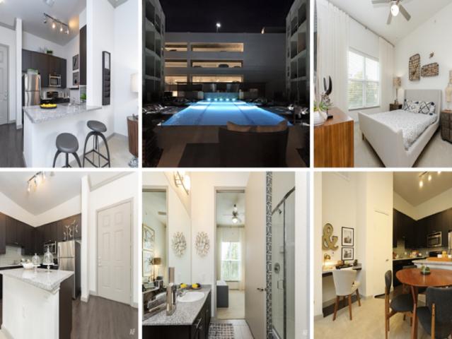 2 bedroom, Richardson TX 75082 77110824
