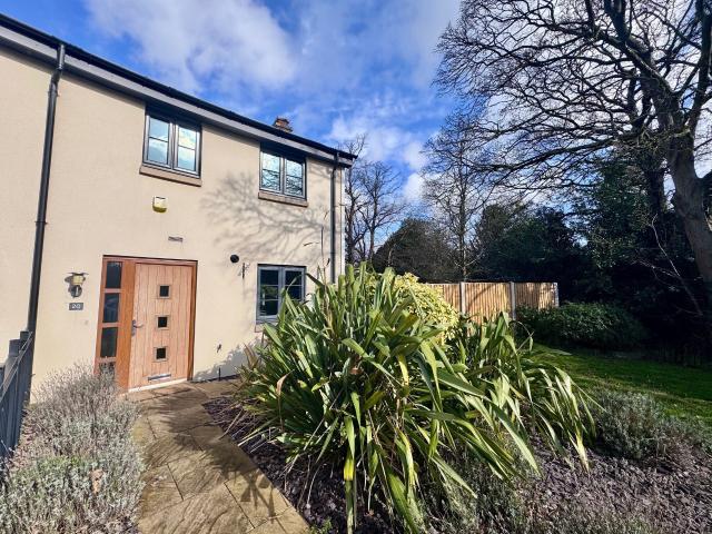 2 bedroom town house to rent