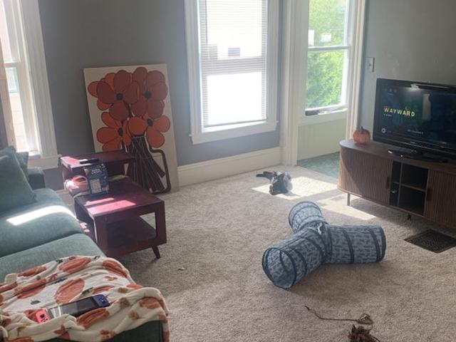 2 bedrooms available in shared apt South Waltham