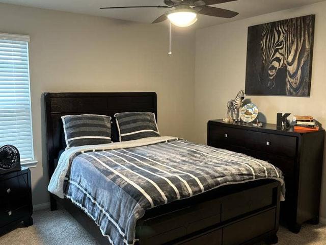 2 Bedrooms for Rent