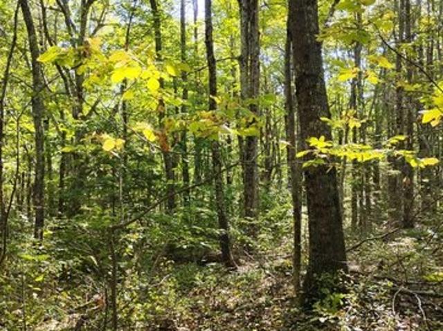 2 Bicknell Rd, Belmont, ME 04952