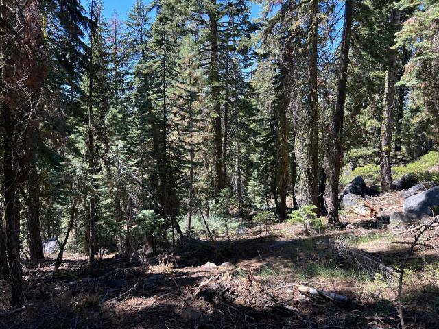 2 Blue Rock Trail, Unit 2, Arnold, CA 95223 | MLS #225600